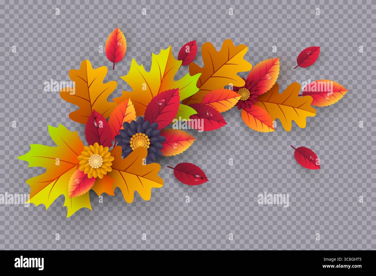 Colorful autumn leaves arrangement Stock Vector Images - Alamy