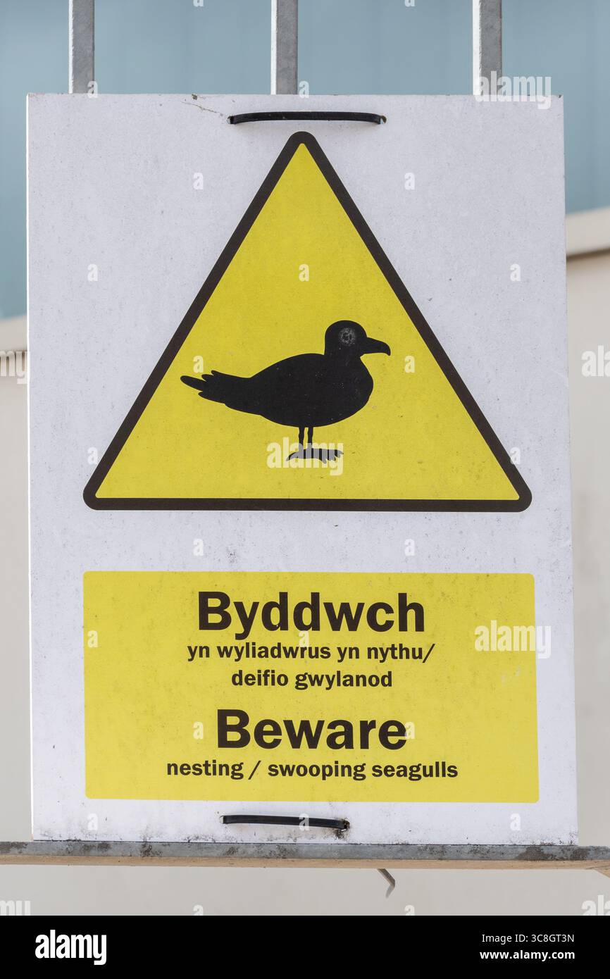 Swooping hi-res stock photography and images - Alamy