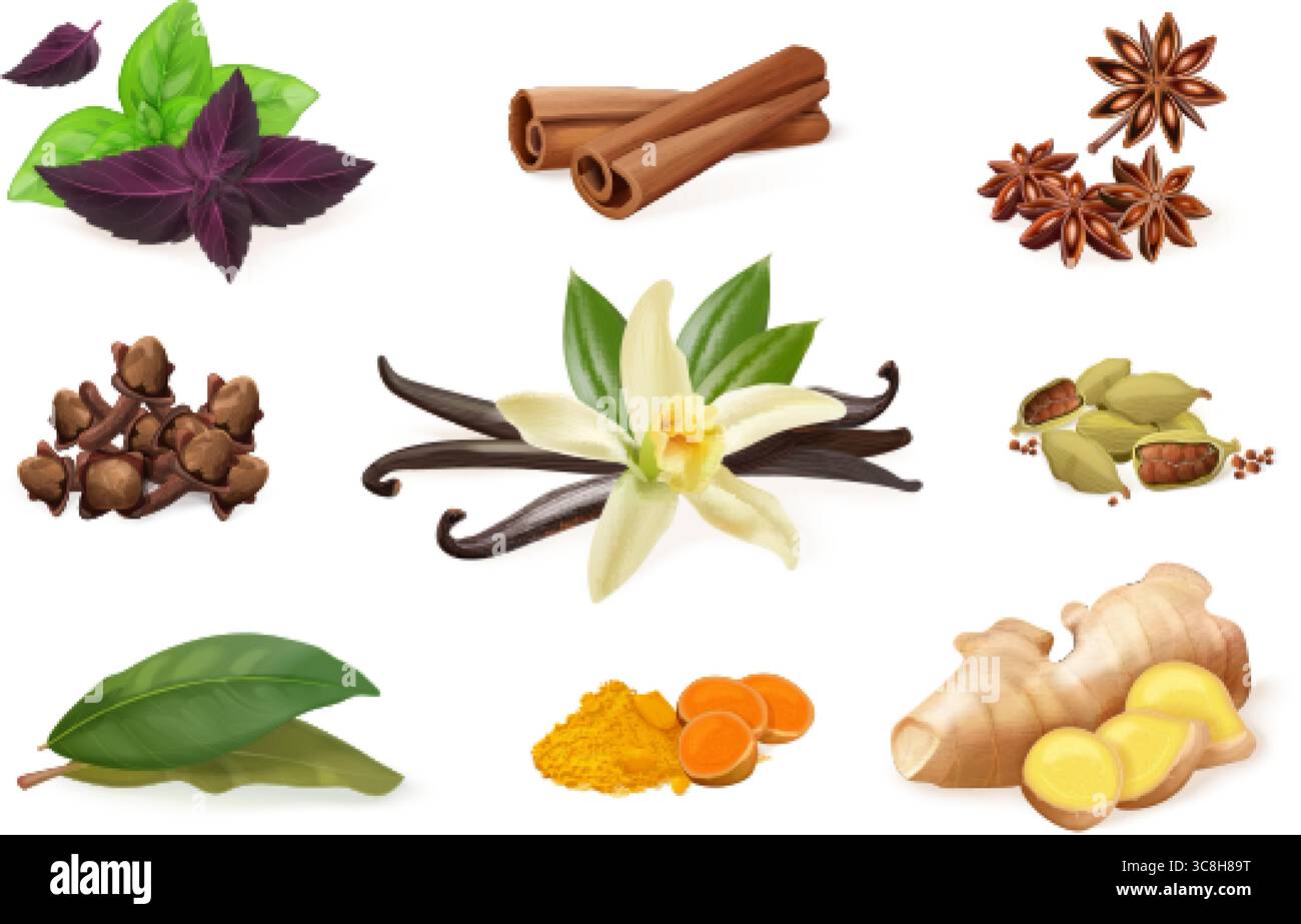Realistic spices herbs. 3d cooking spice, ginger root clove cinnamon ...