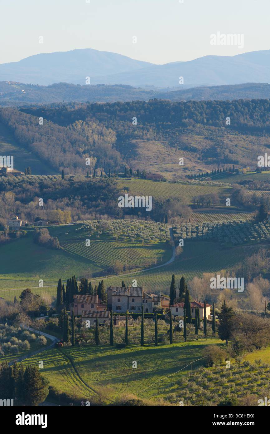 Traditional Tuscan farmhouse surrounded by cypress trees and olive ...