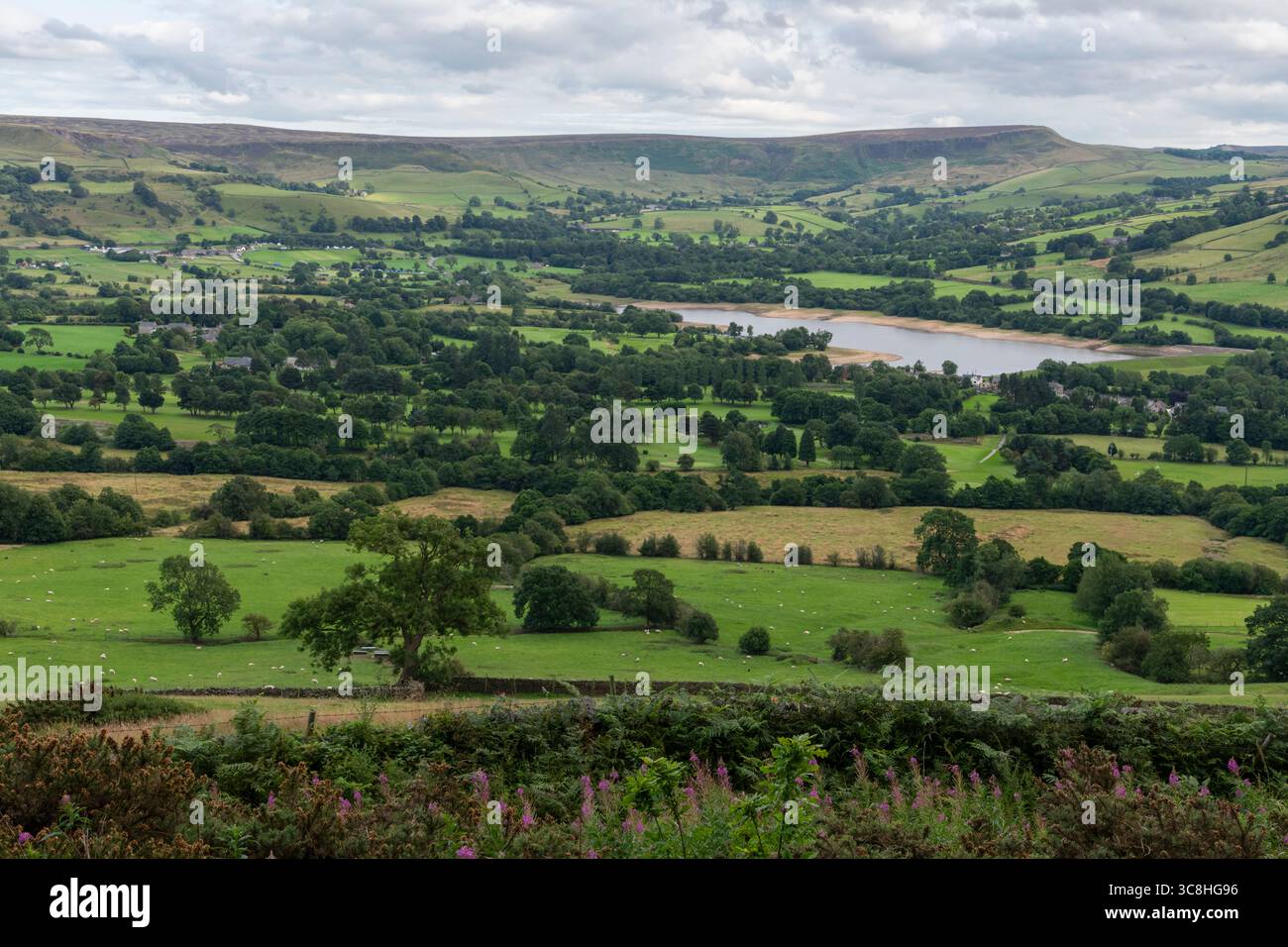 Combs moss derbyshire hi-res stock photography and images - Alamy