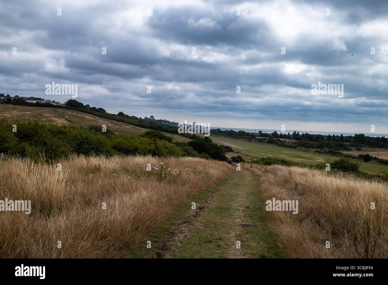 Hadleigh marsh hi-res stock photography and images - Alamy