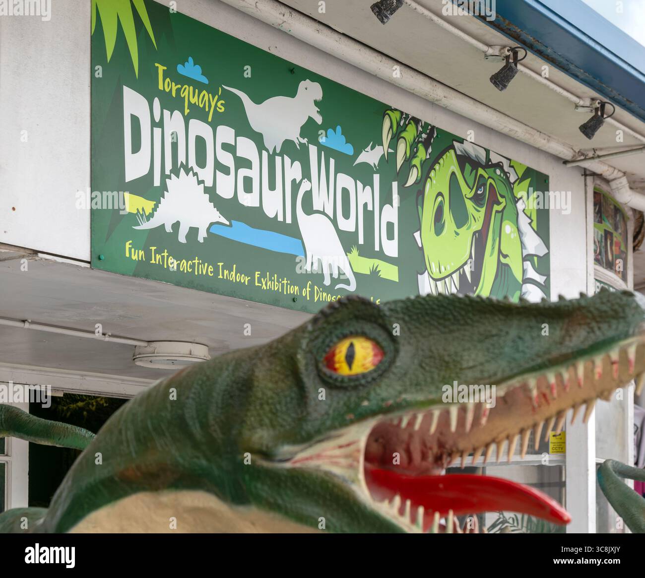 Torquay museum exhibition hi-res stock photography and images - Alamy
