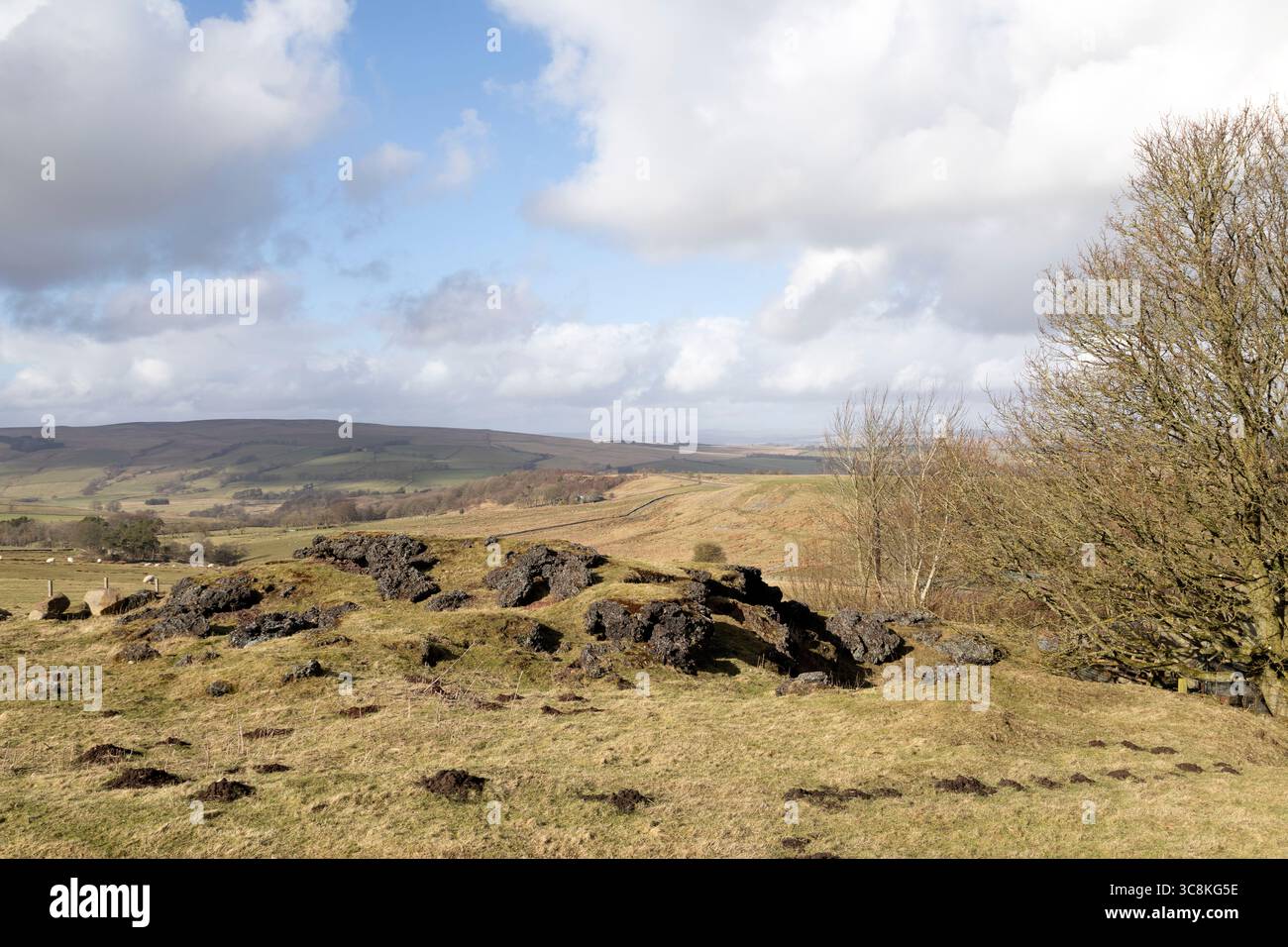 Slag heaps at Ridsdale in Northumberland, England. They are a legacy of ...