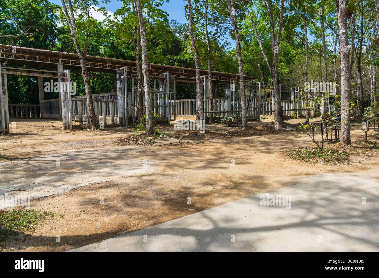 Elephants home at their rescue sanctuary in Phuket in Thailand Stock ...
