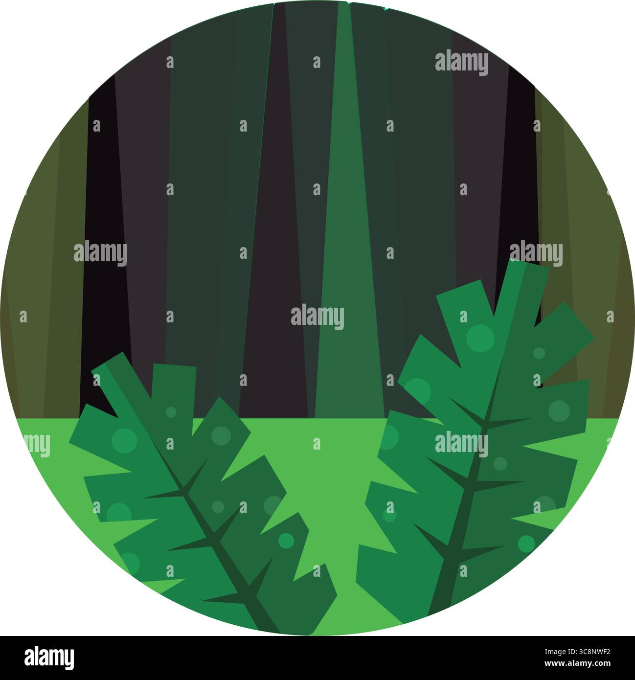 Dense forest landscape Cut Out Stock Images & Pictures - Alamy