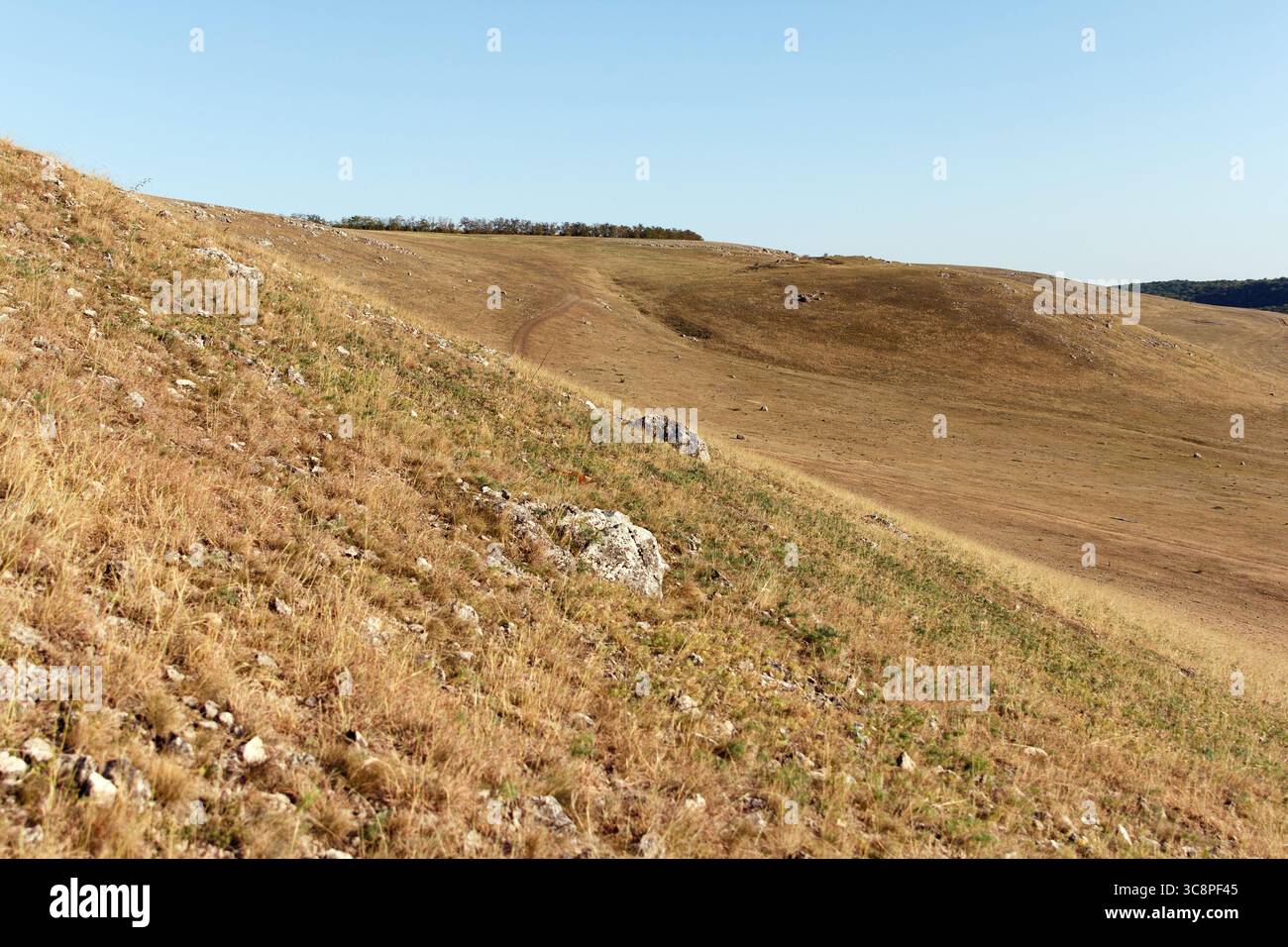 A vast, beautiful dry landscape with rolling hills and sparse ...