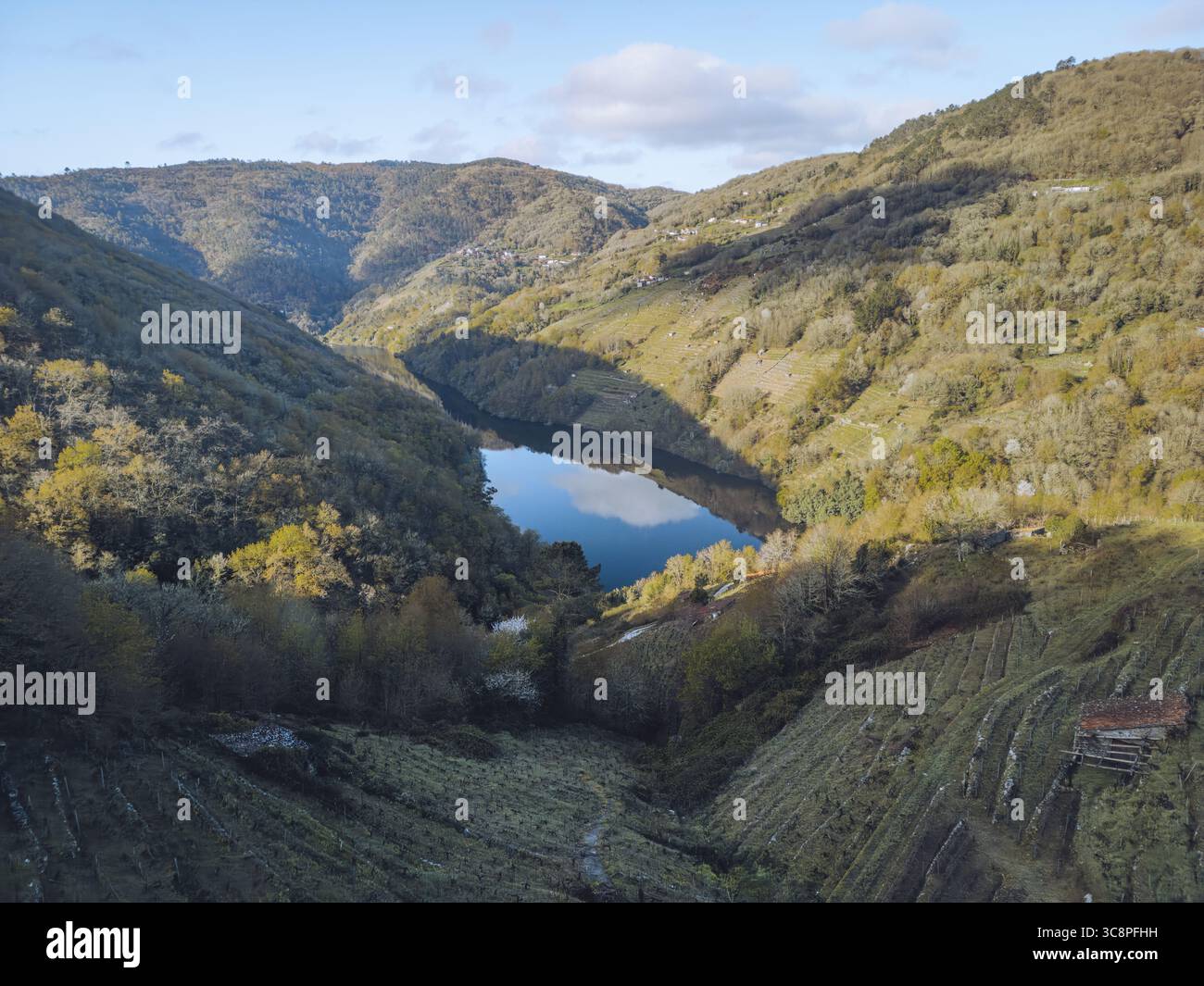 Reflective daylight tones hi-res stock photography and images - Alamy