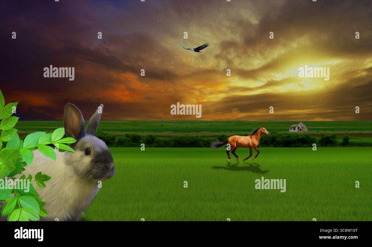 Illustration of a rabbit among plants and a horse running in a farm ...