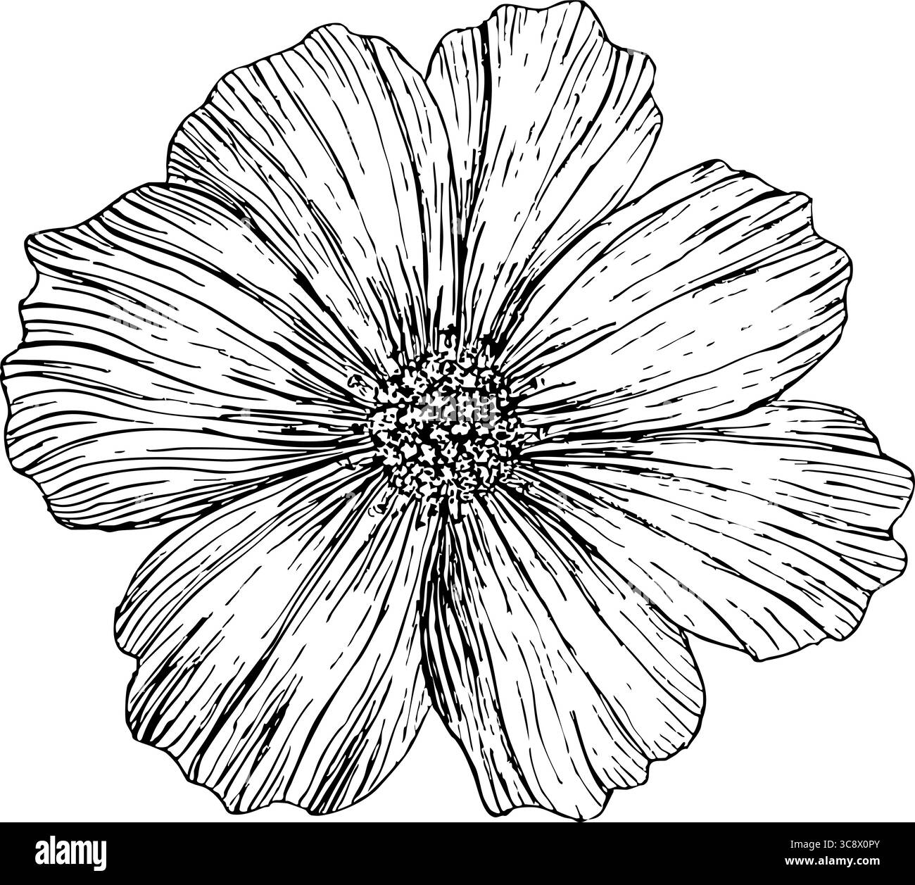 Vector illustration of a cosmos flower with hand-drawn line work and ...