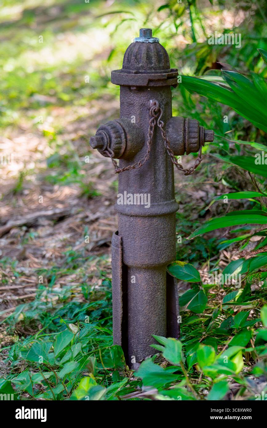 Fire hydrant from the turn of the century in an abandoned field Stock ...