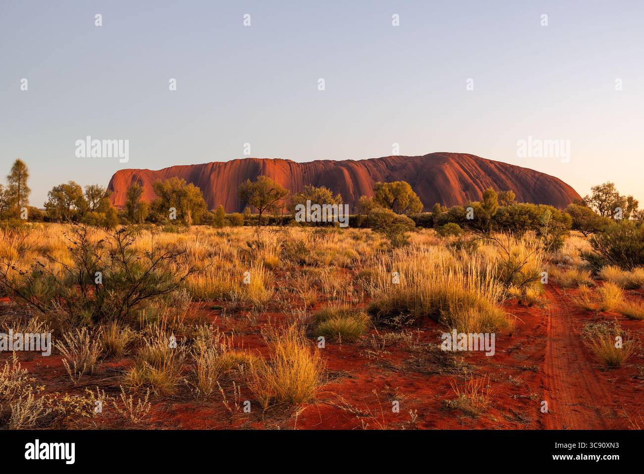 Uluru at sunrise. In Kata Tjuṯa National Park in the Northern Territory ...