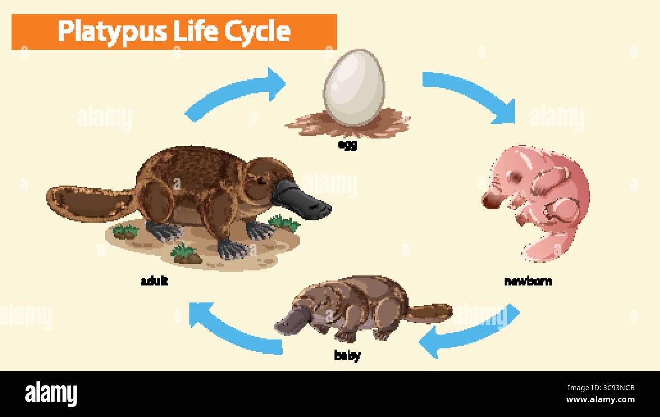 Using clear labeling hi-res stock photography and images - Alamy