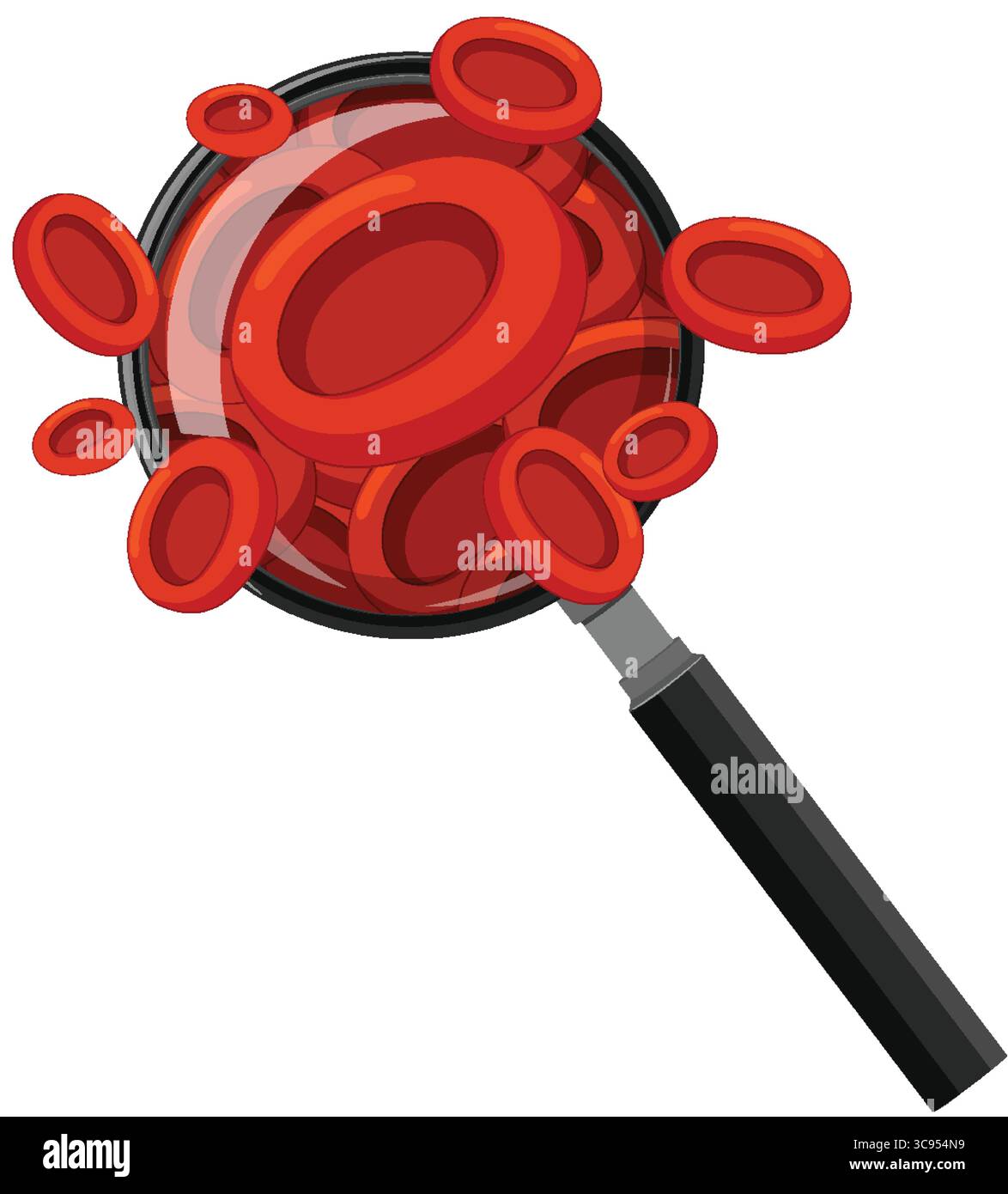 Vector illustration of red blood cells magnified with a black ...