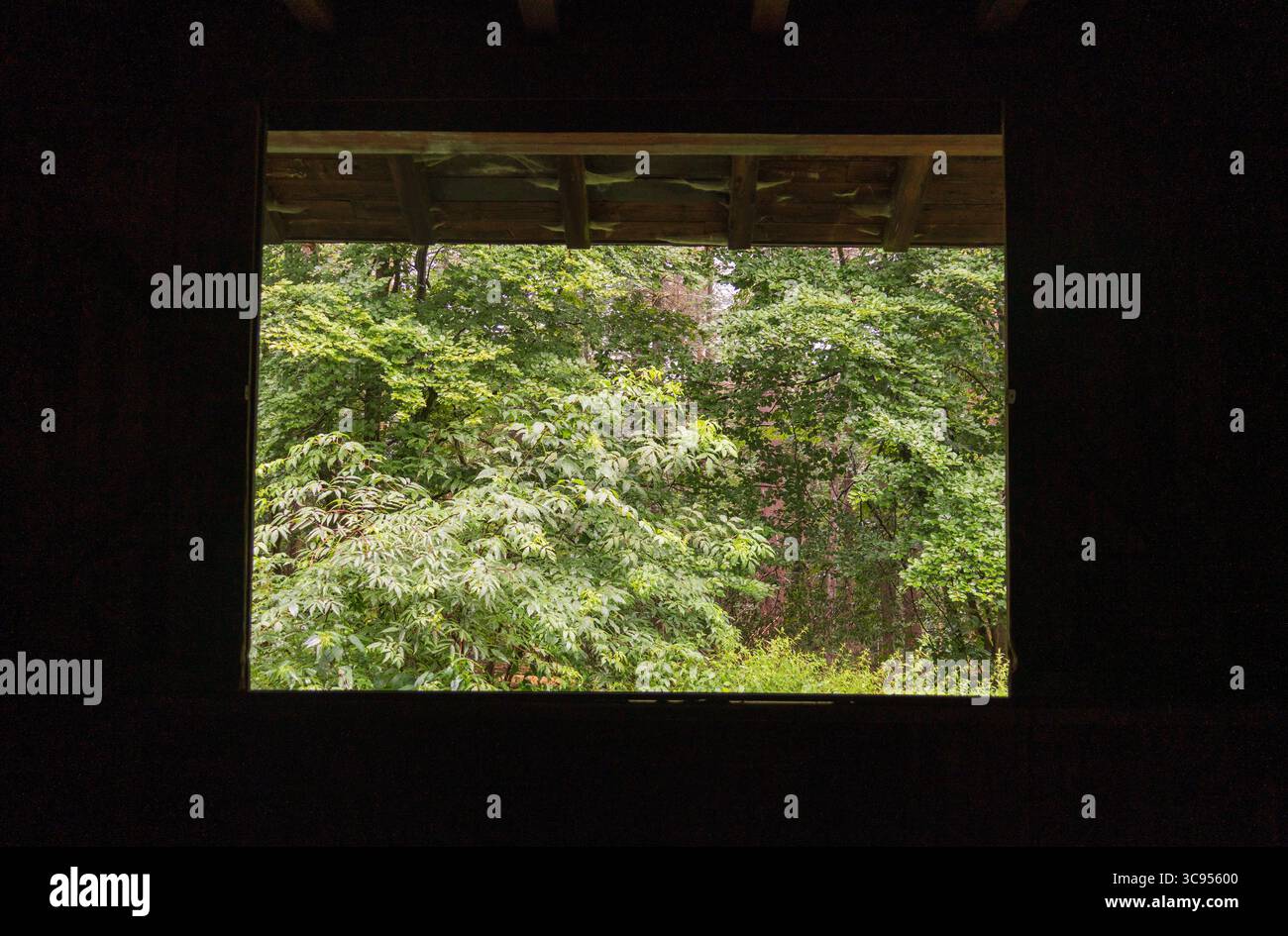 The Wilderness at Hunsrück‑Hochwald, Germany Stock Photo - Alamy