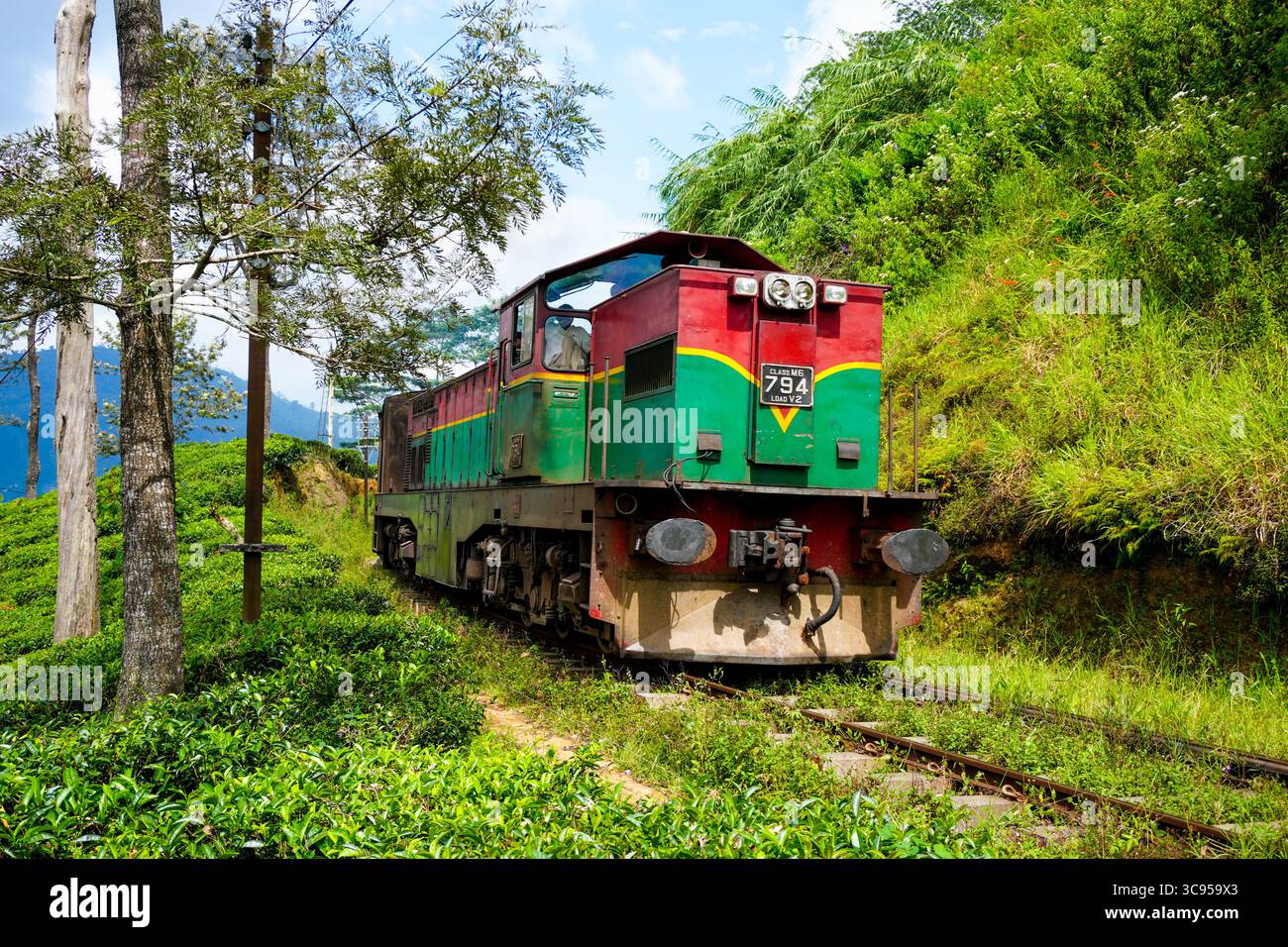 Train from Badulla through forest in Sri Lanka, Train Journey Stock ...