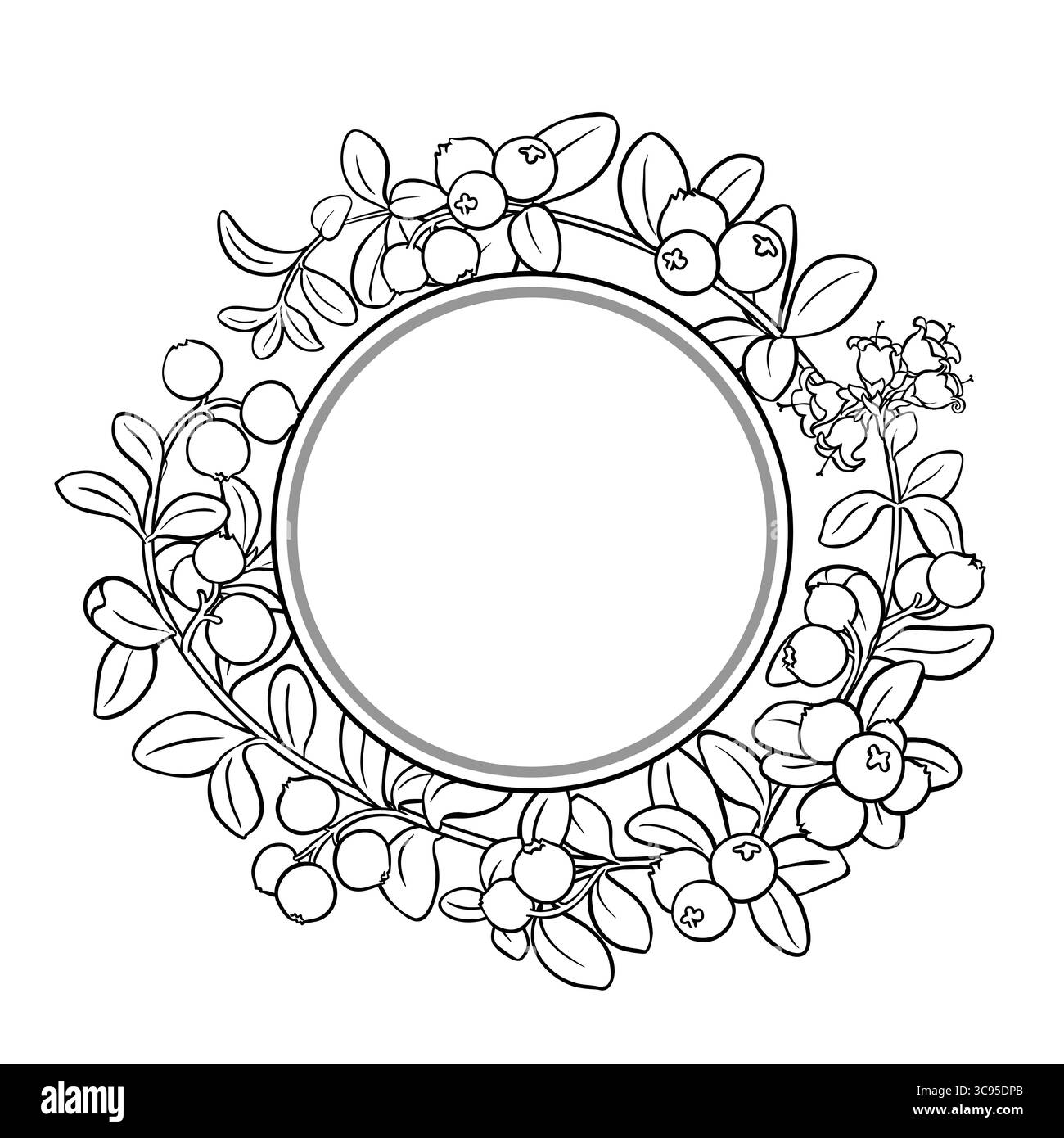 Cranberry Branch Outline Round Frame Stock Vector Image & Art - Alamy