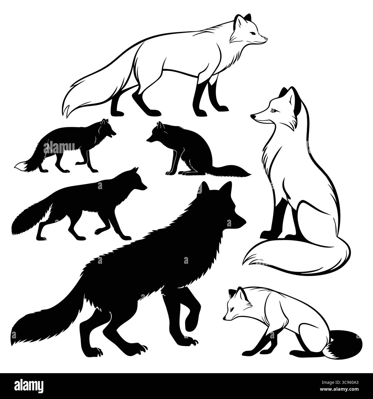 Collection of Black and White Arctic Foxes in Various Poses Stock ...