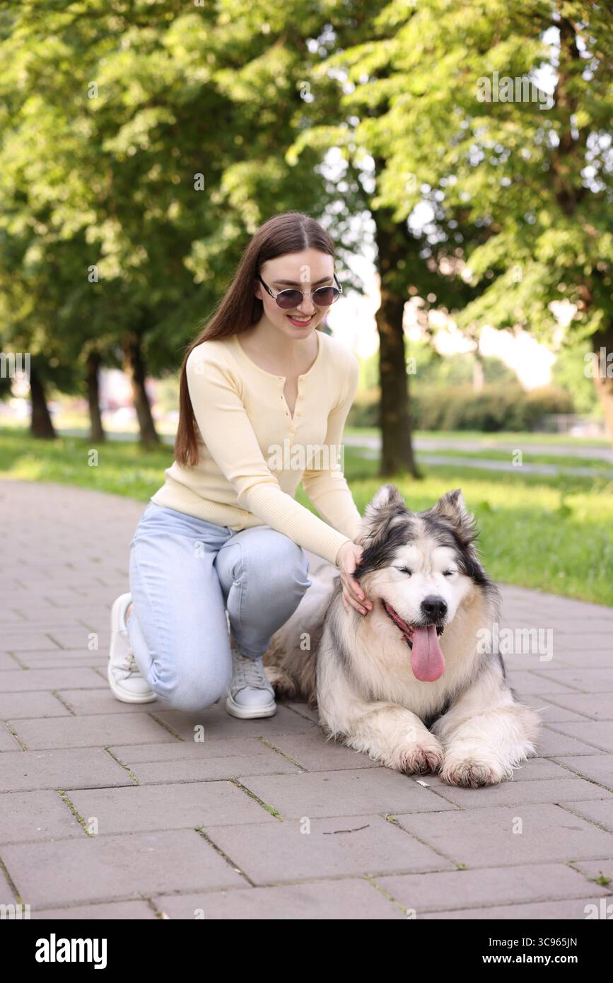 Happy woman with her cute Alaskan malamute dog in park Stock Photo - Alamy