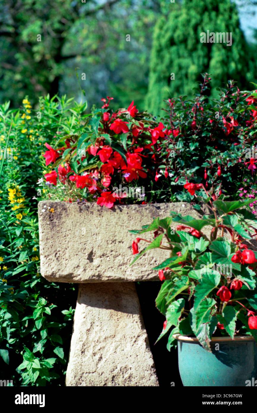 Oldfilename 1350d17 hi-res stock photography and images - Alamy