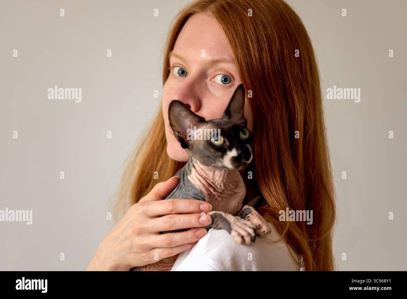 A close-up illustration shows a woman embracing a Sphynx cat. The ...