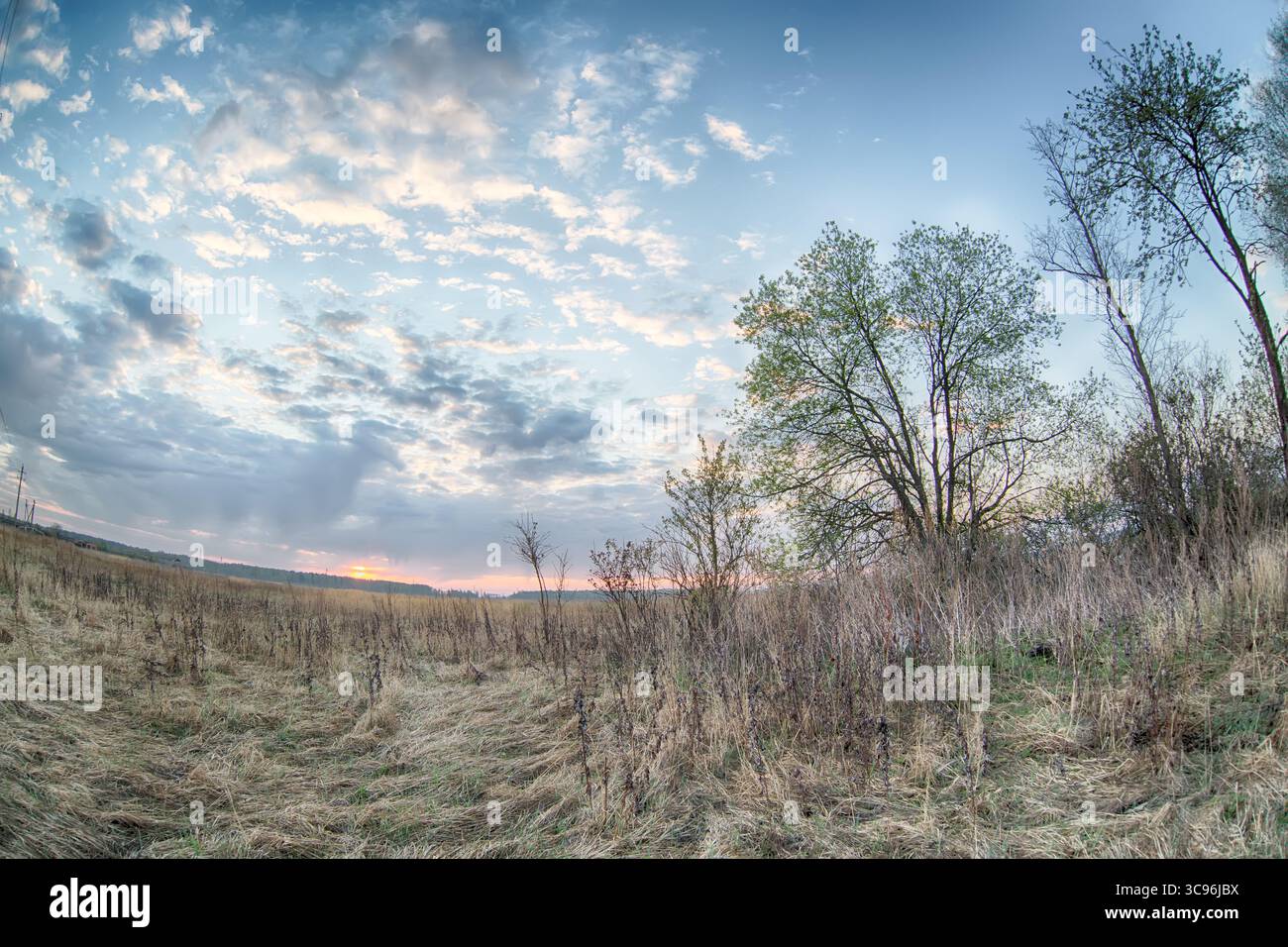 Sunrise HDR landscape in field and trees with fisheye effect Stock ...
