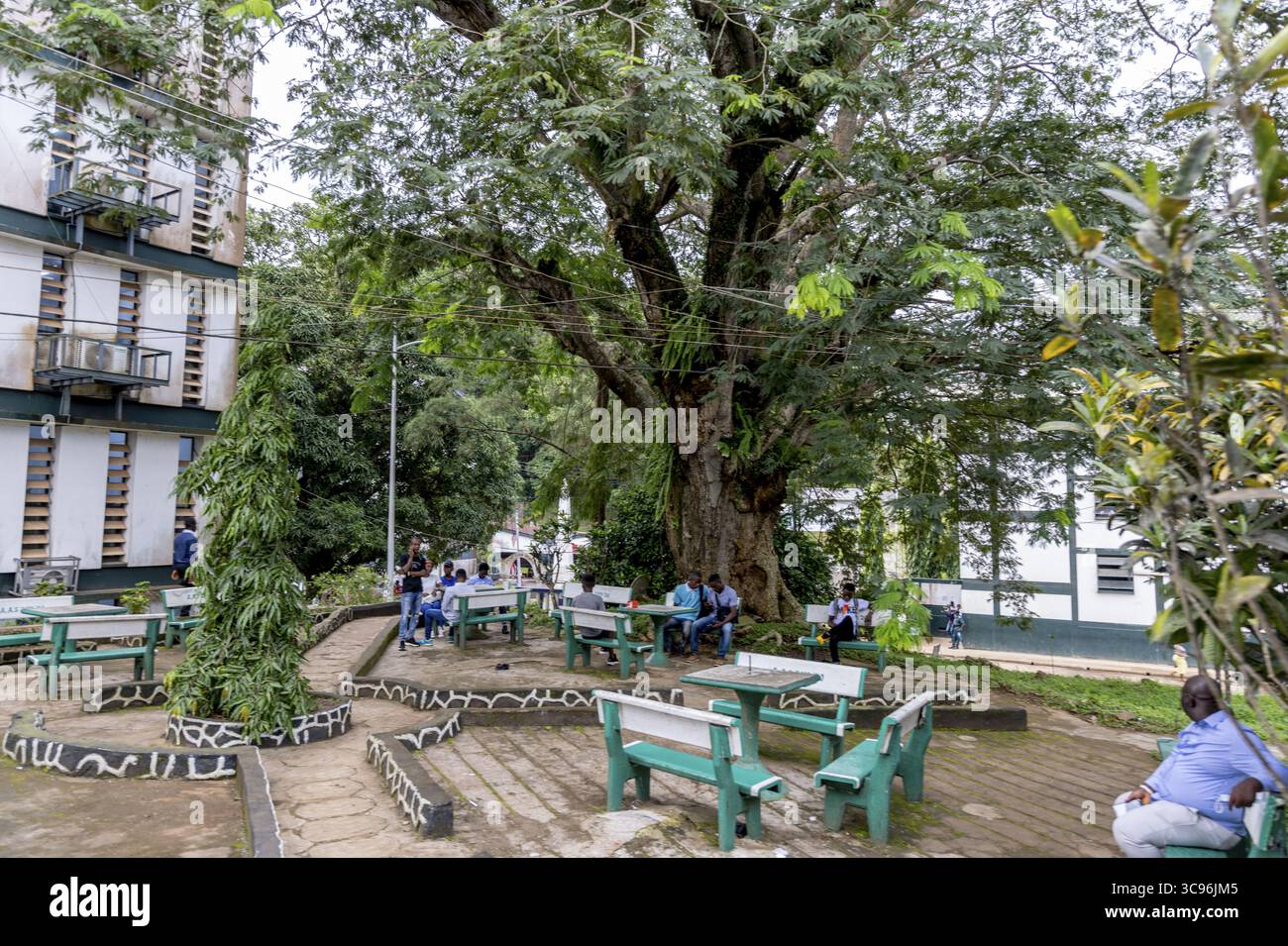 Freetown, Sierra Leone - 11 August 2021: View of the aged Cotton Tree ...
