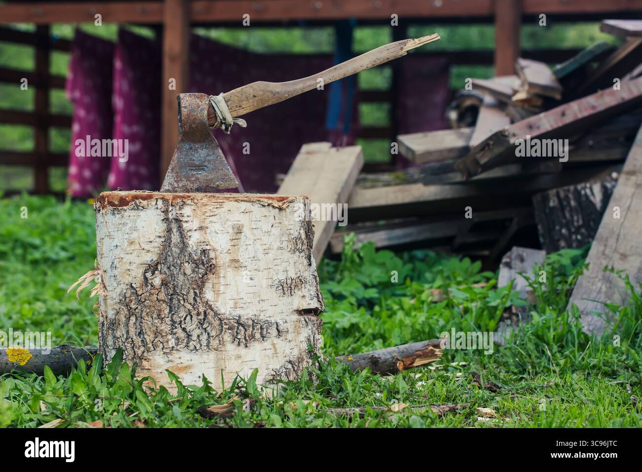 Axe on log green hi-res stock photography and images - Alamy