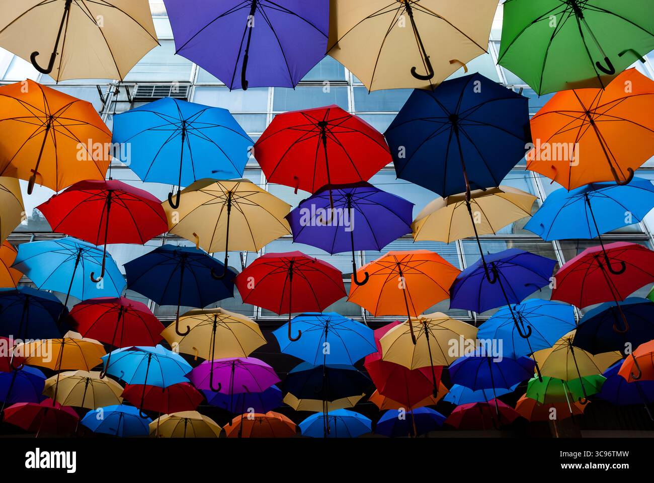 Vibrant colorful umbrella installation against urban backdrop ...