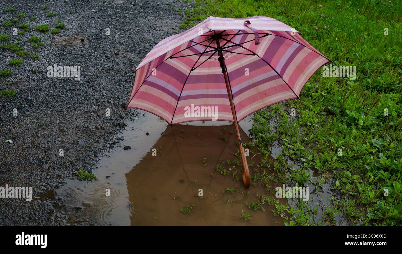 An umbrella lying in a puddle of water. Rainy day Stock Photo - Alamy