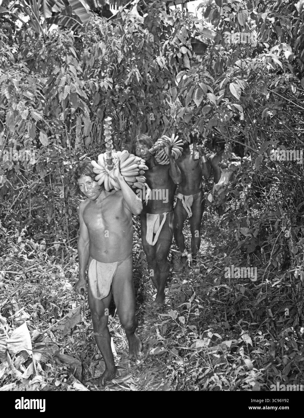Chocos tribesmen taking bananas to pirauguas (canoes) waiting at the ...
