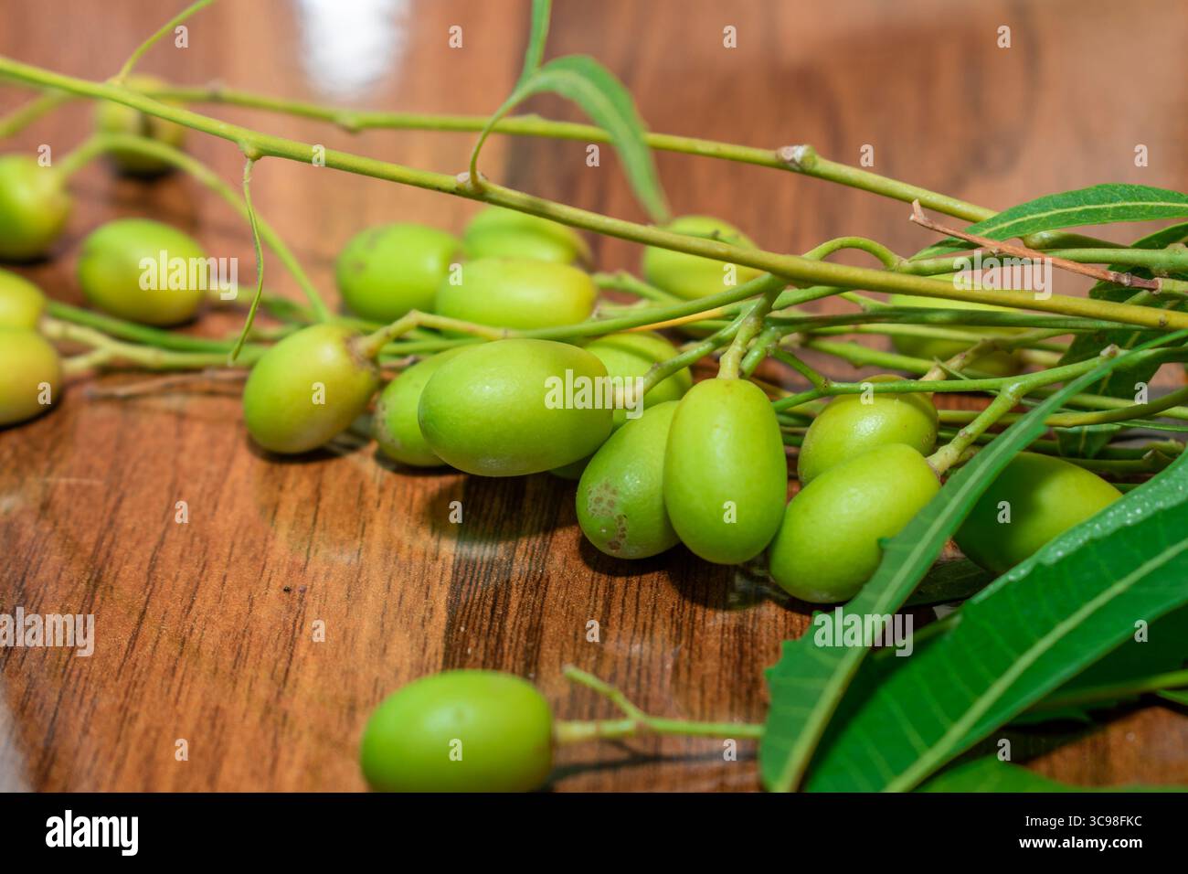 Neem (azadirachta indica) green leaf and neem fruit on wooden table ...