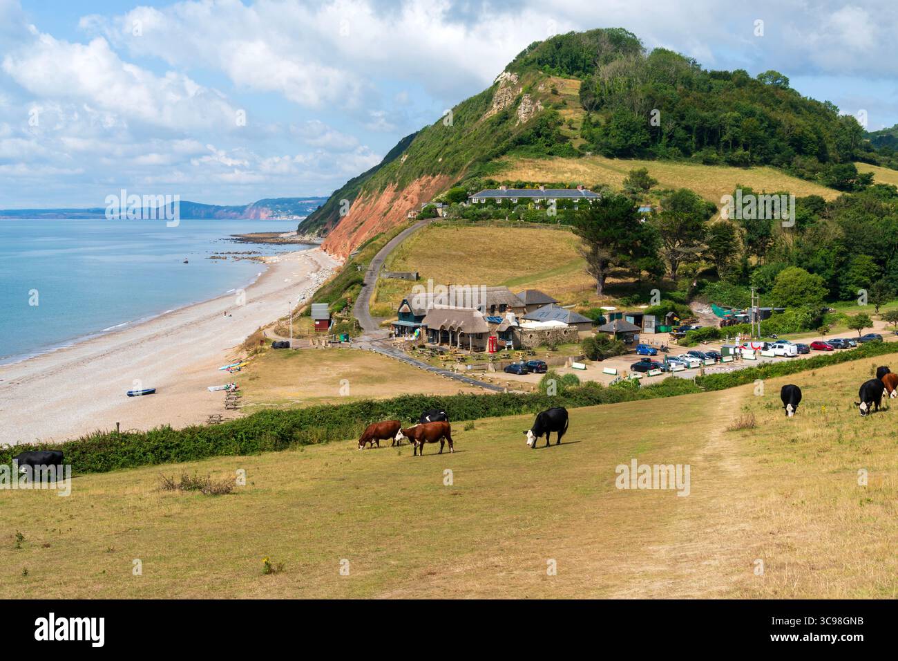 Branscombe Beach from the South West coast Path Stock Photo - Alamy