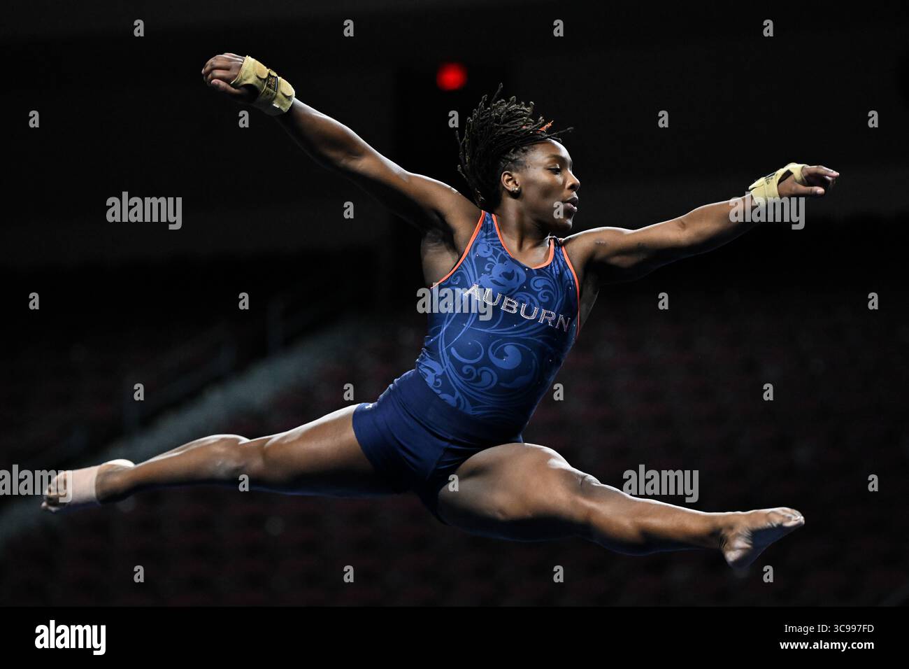 Aria brusch hi-res stock photography and images - Alamy
