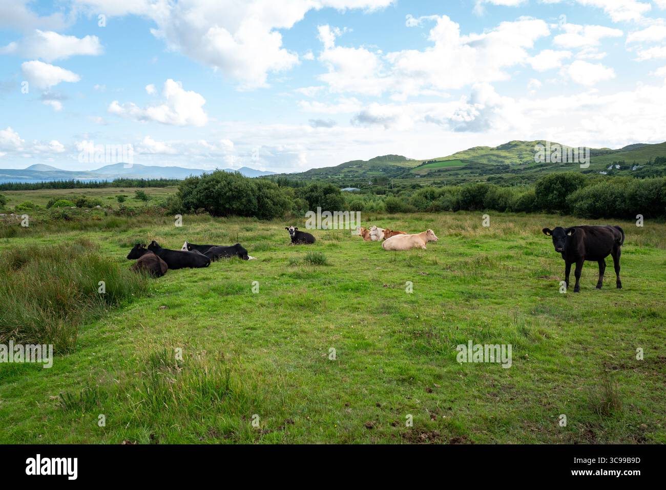 Ireland West Coast County Kerry Emerald Island Ring of Kerry Sneem ...