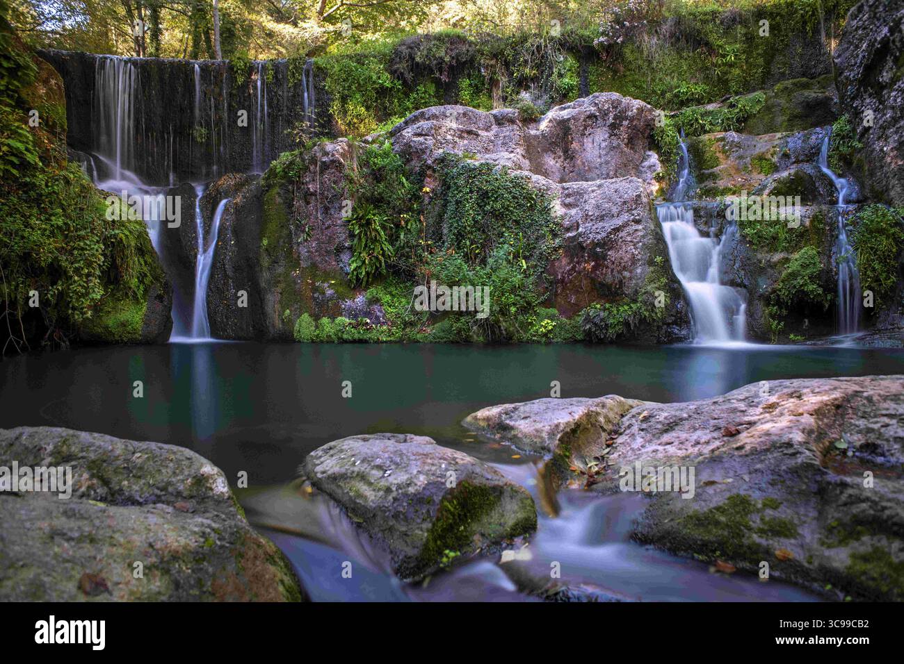 Path in woods garrotxa catalonia hi-res stock photography and images ...