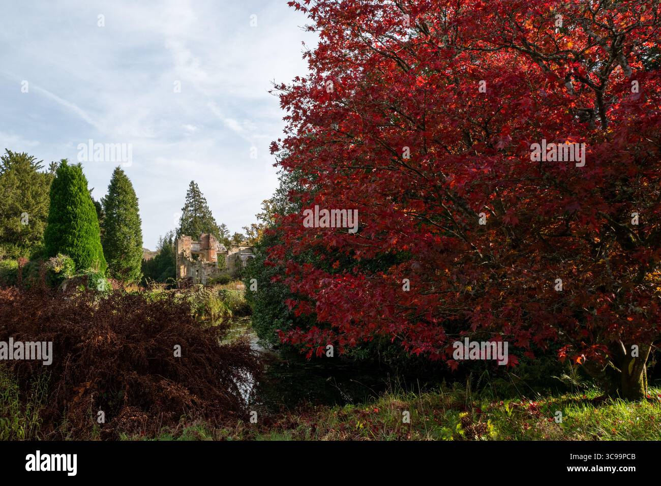 Scotney Castle ruins and Victorian mansion in vast woodland and ...