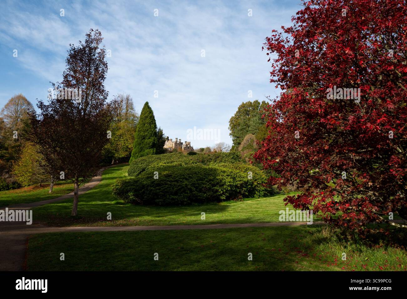Scotney Castle ruins and Victorian mansion in vast woodland and ...