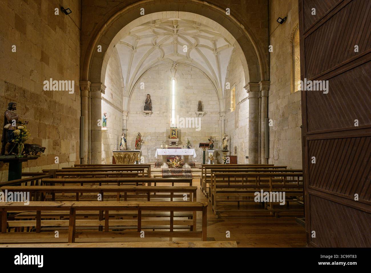 Romanesque-Gothic church interior featuring wooden pews, vaulted ...