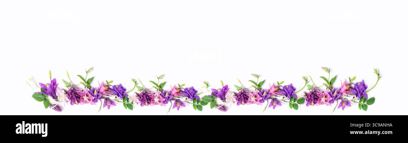 Long wide banner flat Cut Out Stock Images & Pictures - Alamy
