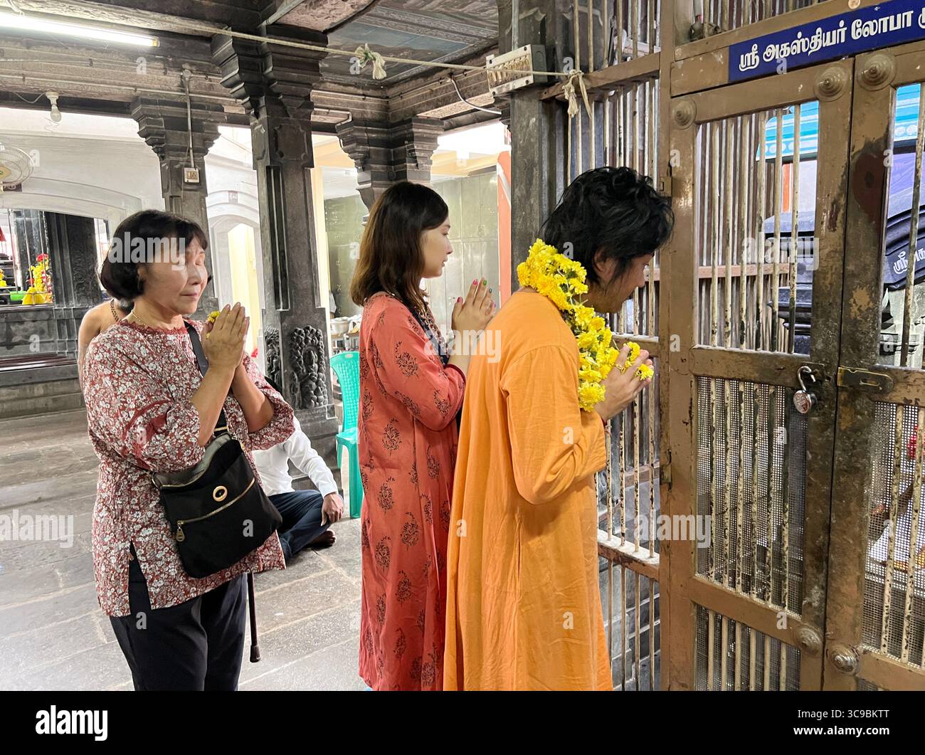 Agastier hi-res stock photography and images - Alamy