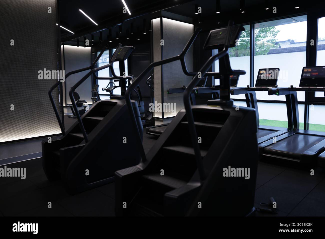 Professional stair climber machines in gym. Healthy lifestyle Stock Photo - Alamy