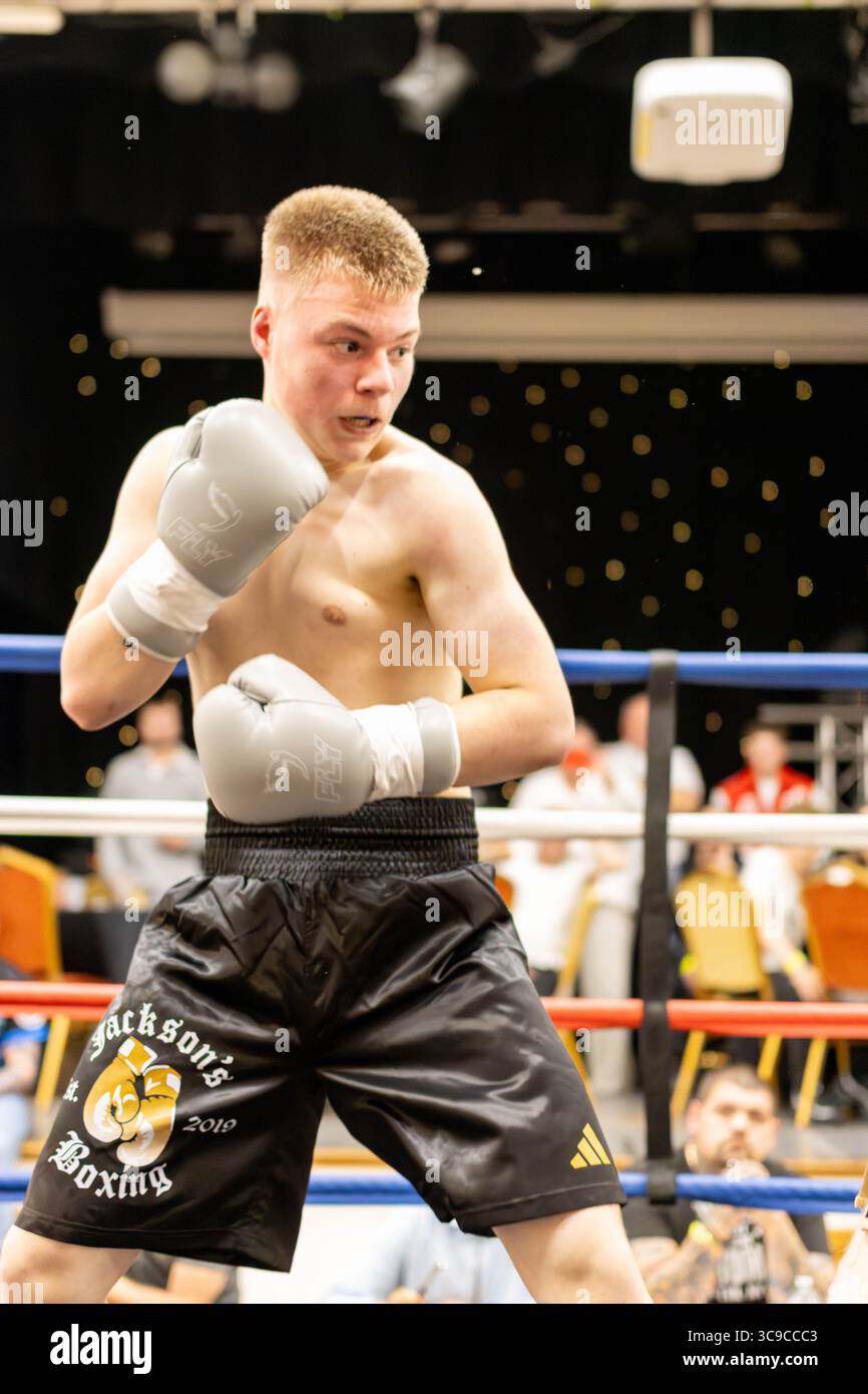 Male boxer in boxing gloves hi-res stock photography and images - Alamy