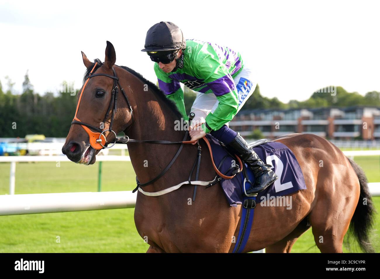 Simba's Gift ridden by David Probert going to post before the Download ...