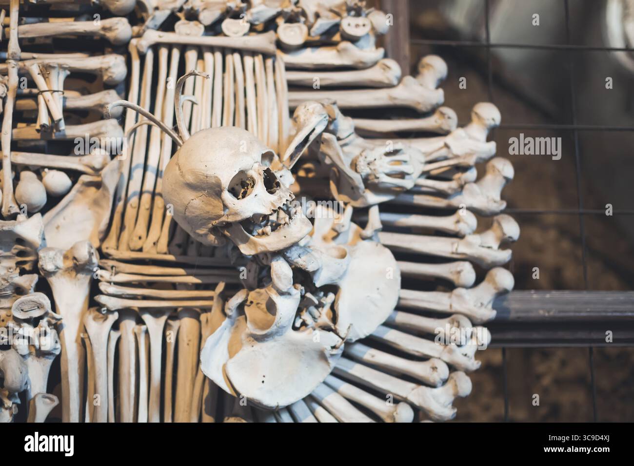 Human bones and skulls in Ossuary. Kostnice Church in Kutna Hora, Czech ...