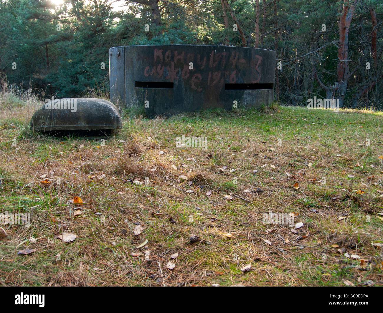 Concrete observation bunker in forest near Peter the Great’s Naval ...
