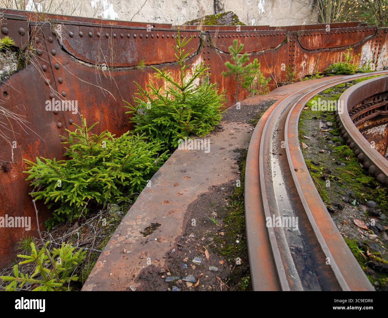Close-up of rusted gun mount rail and concrete base overgrown with moss and spruce at Peter the ...