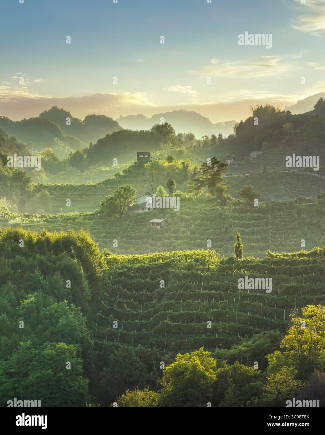 3c9etek hi-res stock photography and images - Alamy