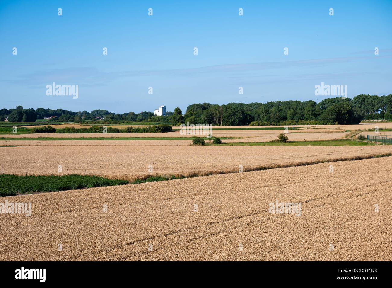 Agriculture field at the Wallon countryside in Pottes Celles, Hainuat ...