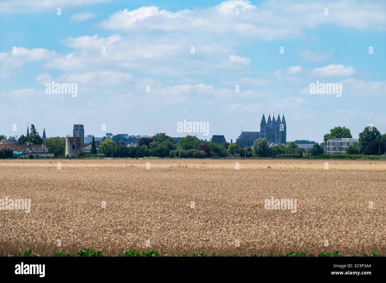 Golden wheat fields with landmarks of the city of Tournai in the ...